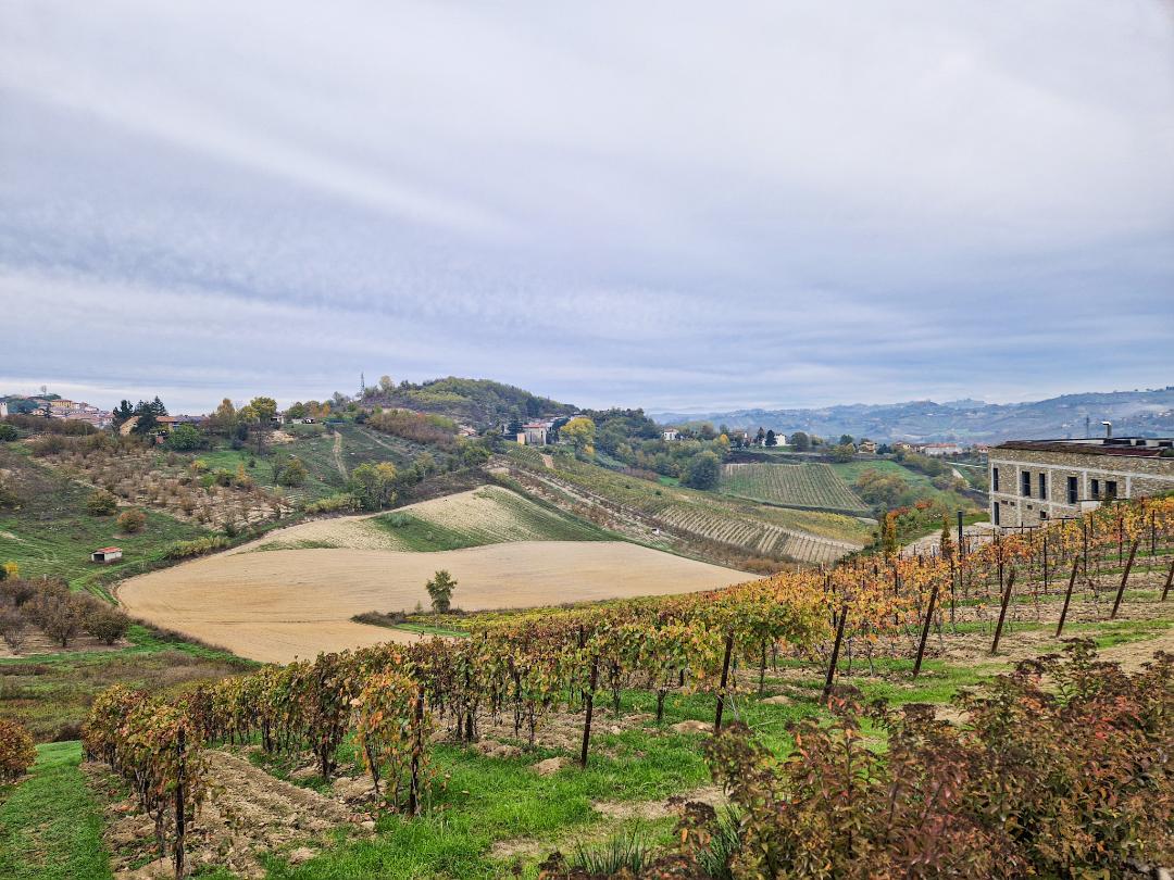 SIMEI: IN ARRIVO LA LEGGE QUADRO EUROPEA SULLA SOSTENIBILITÀ - WineStop&Go